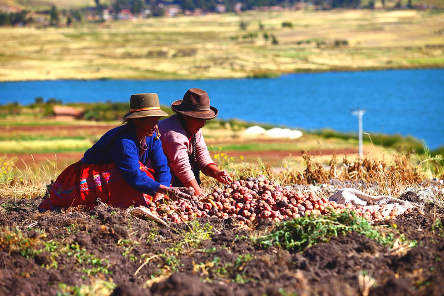 Valicha: Peru’s Most Popular Song – SUMAQ