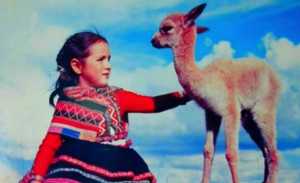 Valicha: Peru’s Most Popular Song – SUMAQ