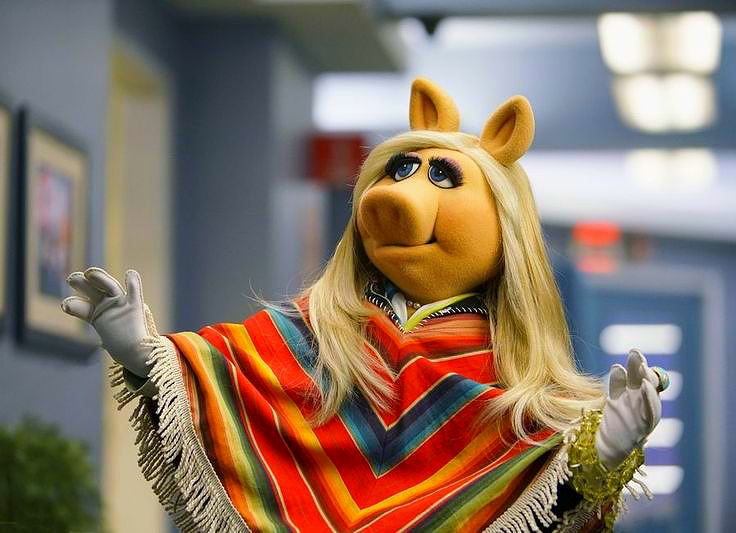 SUMAQ-tionary: What is The Peruvian “Chancha”? – SUMAQ