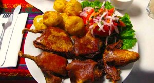 La Historia y Variedades del Cuy – SUMAQ